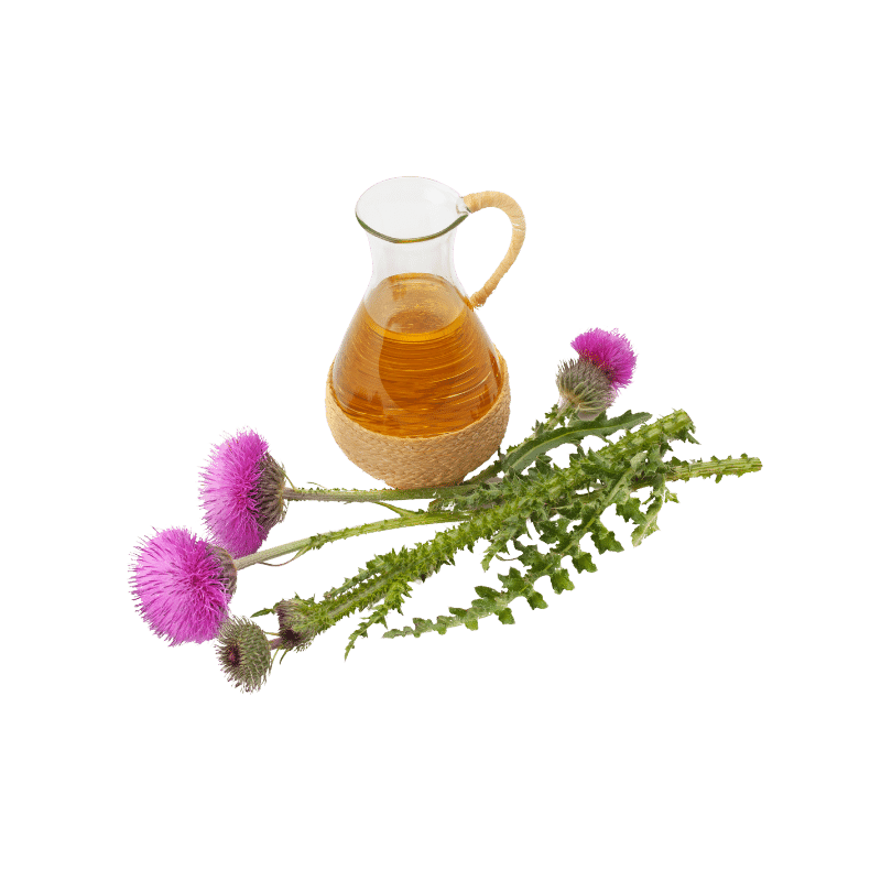 Medicinal Oils - Ostro Organics