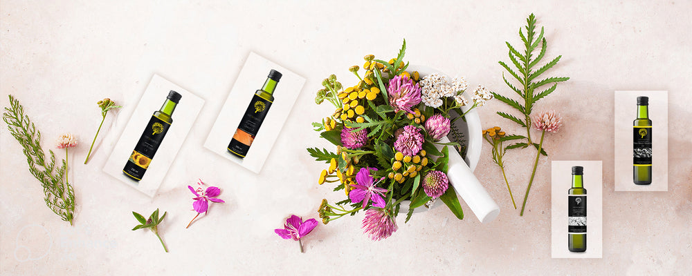 Healthy Meal Subscription | Ostro Organics